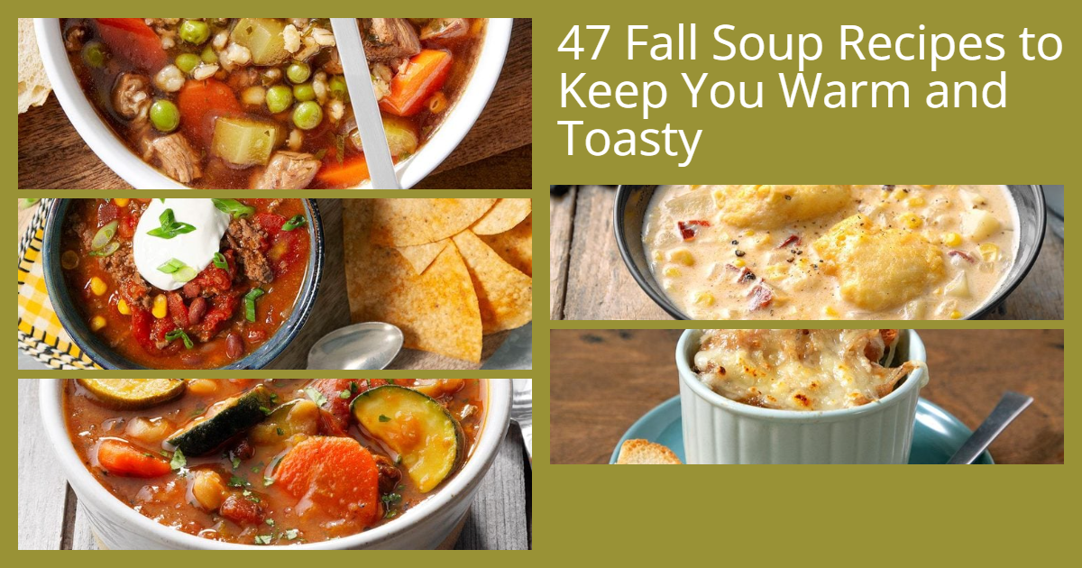47 Fall Soup Recipes to Keep You Warm and Toasty – Good Food, Good Meat ...