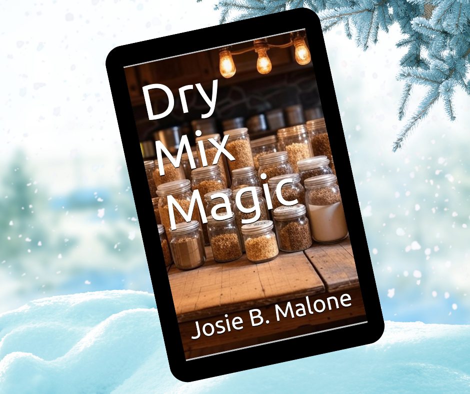 Dry Mix Magic (Sizzling Sauces & Condiments Book 1) – Good Food, Good ...